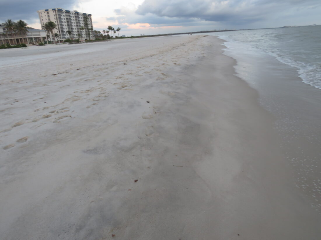 FWC confirms active shorebird nesting numbers as beach renourishment project extends to June ...
